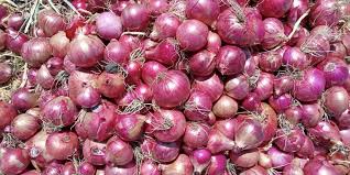 How to Start a Spring Onion Farming Operation: Complete Guide