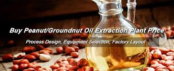 Why Start with Groundnut Oil Processing