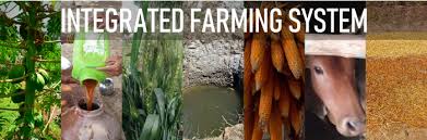 Start a Integrated Farming Operation: A Guide to Growth